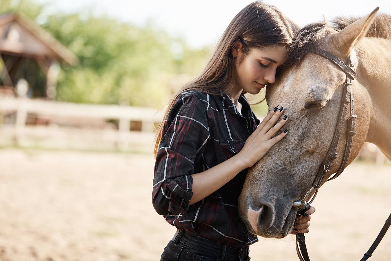 Riding other people's horses – what you need to know | Zurich Switzerland